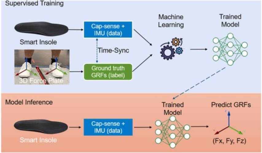 Smart Insoles Revolutionize A Breakthrough In 3d Ground Reaction Force Estimation River